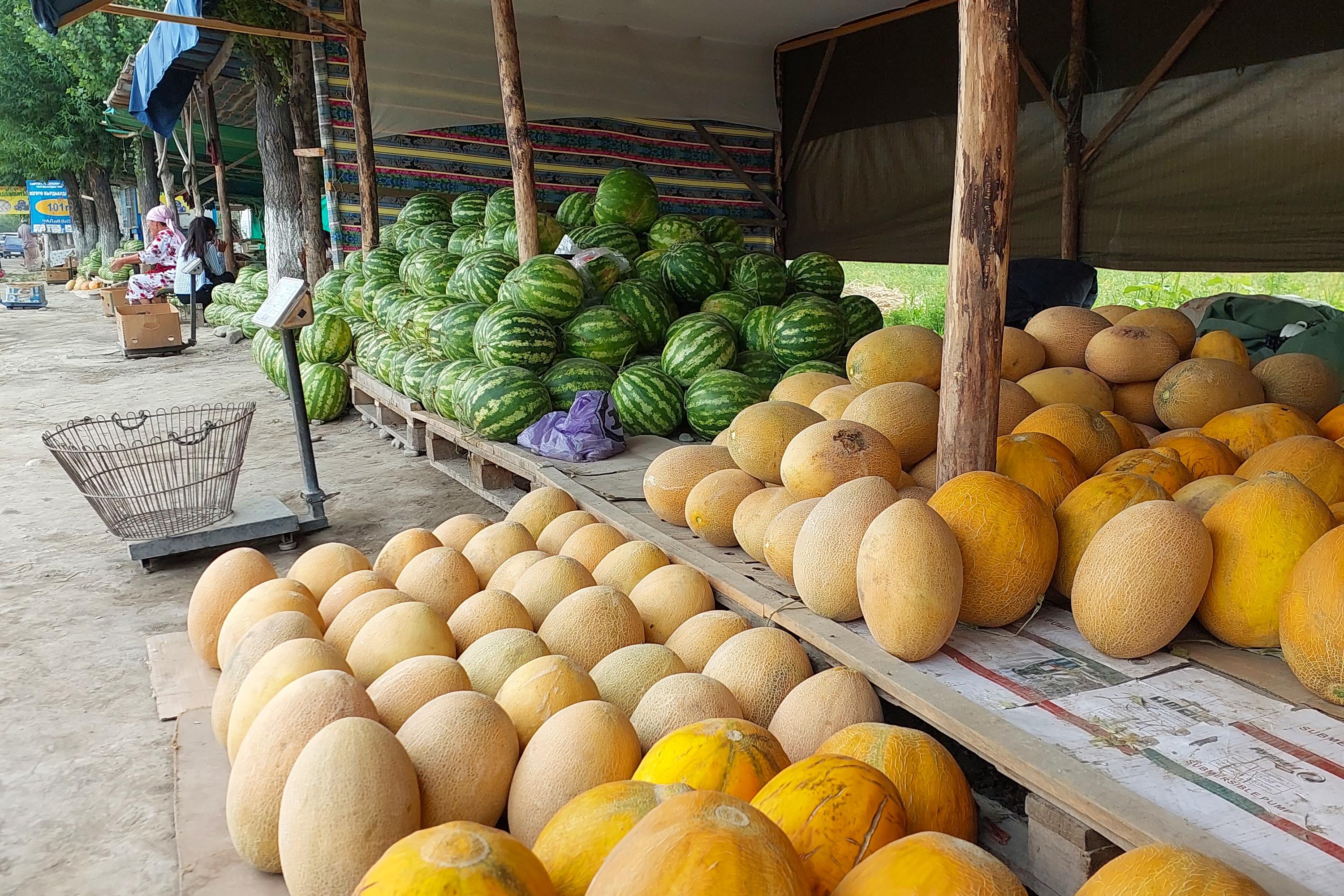 Turkmenistan Melon Day Tour | Saiga Tours