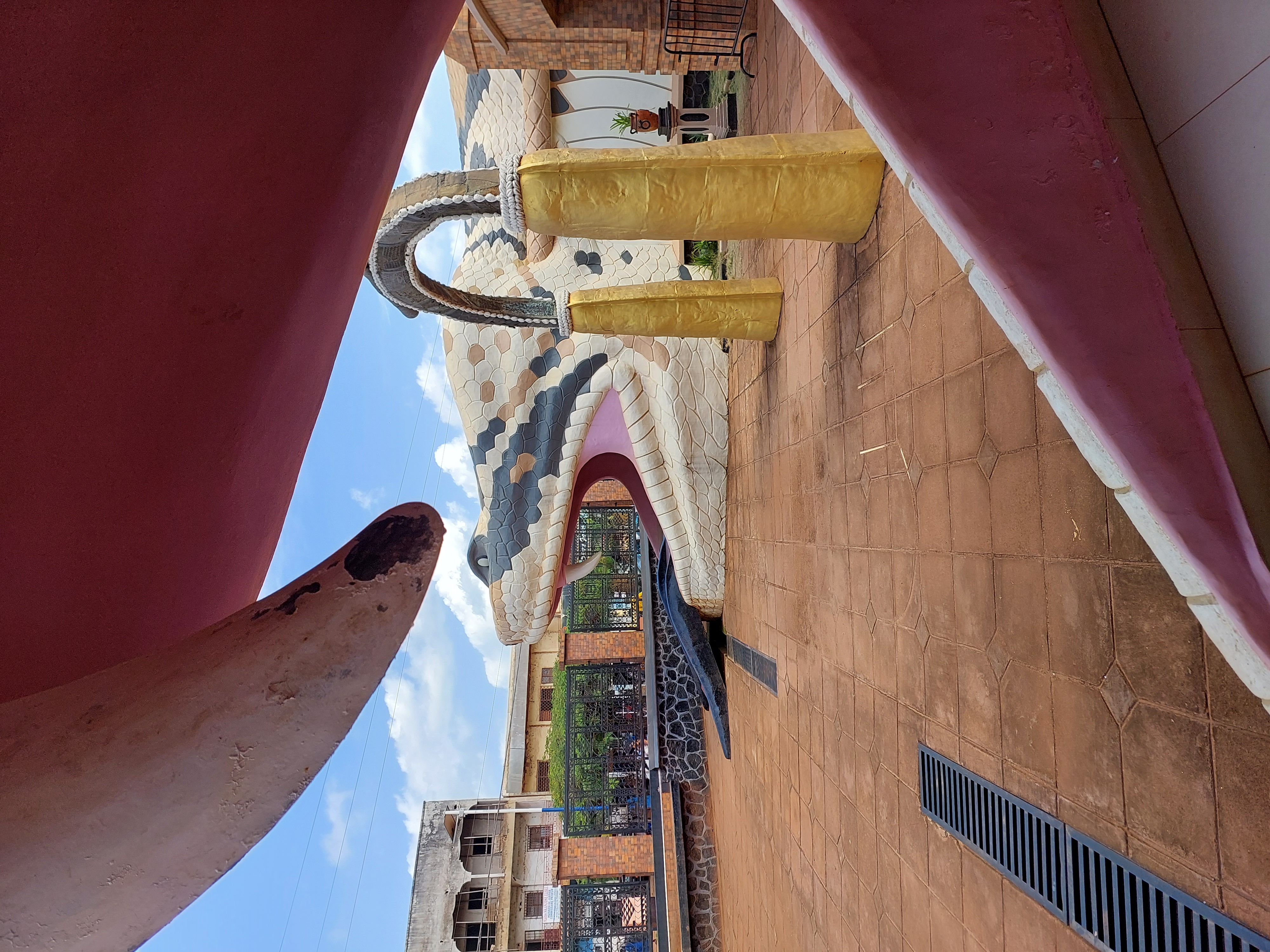 Cameroon Summer Tour | Saiga Tours